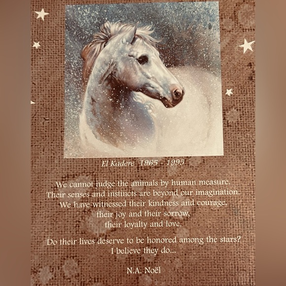 Other | All Gods Creatures Go To Heaven Book | Poshmark
